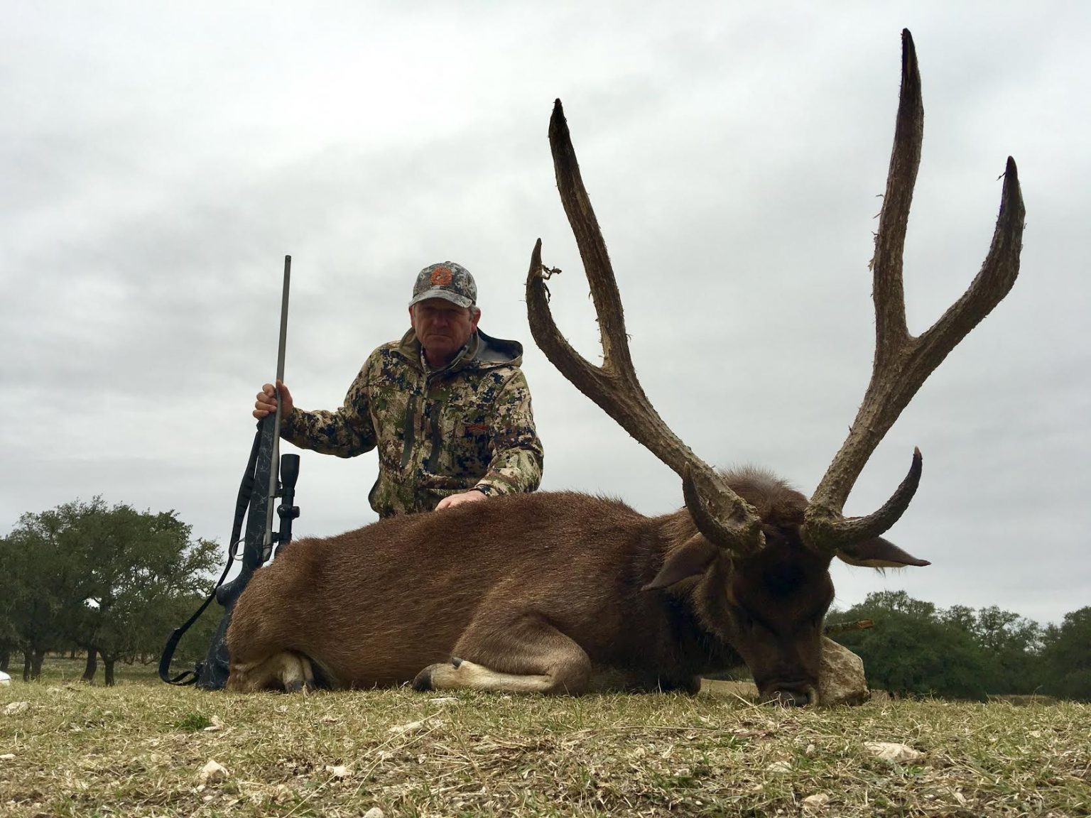 Rusa Stag - Pope Brothers Guide Service - Hunts in Texas
