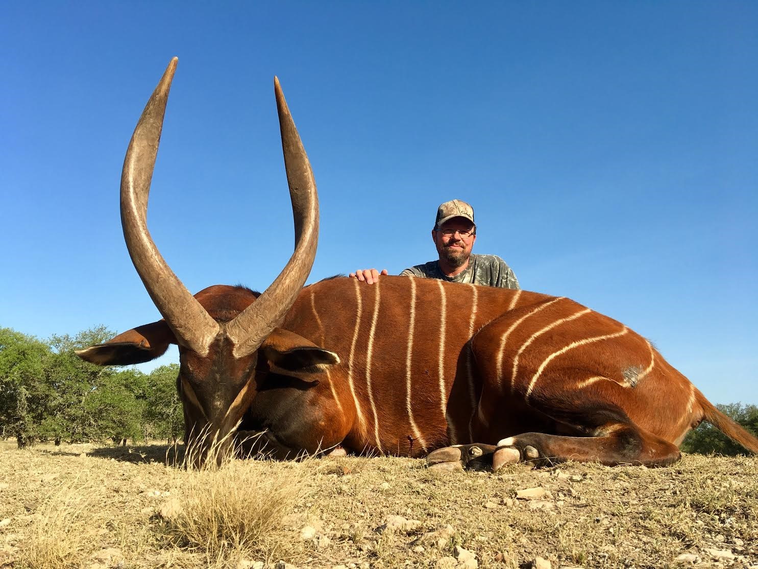 Bongo - Pope Brothers Guide Service - Hunts in Texas