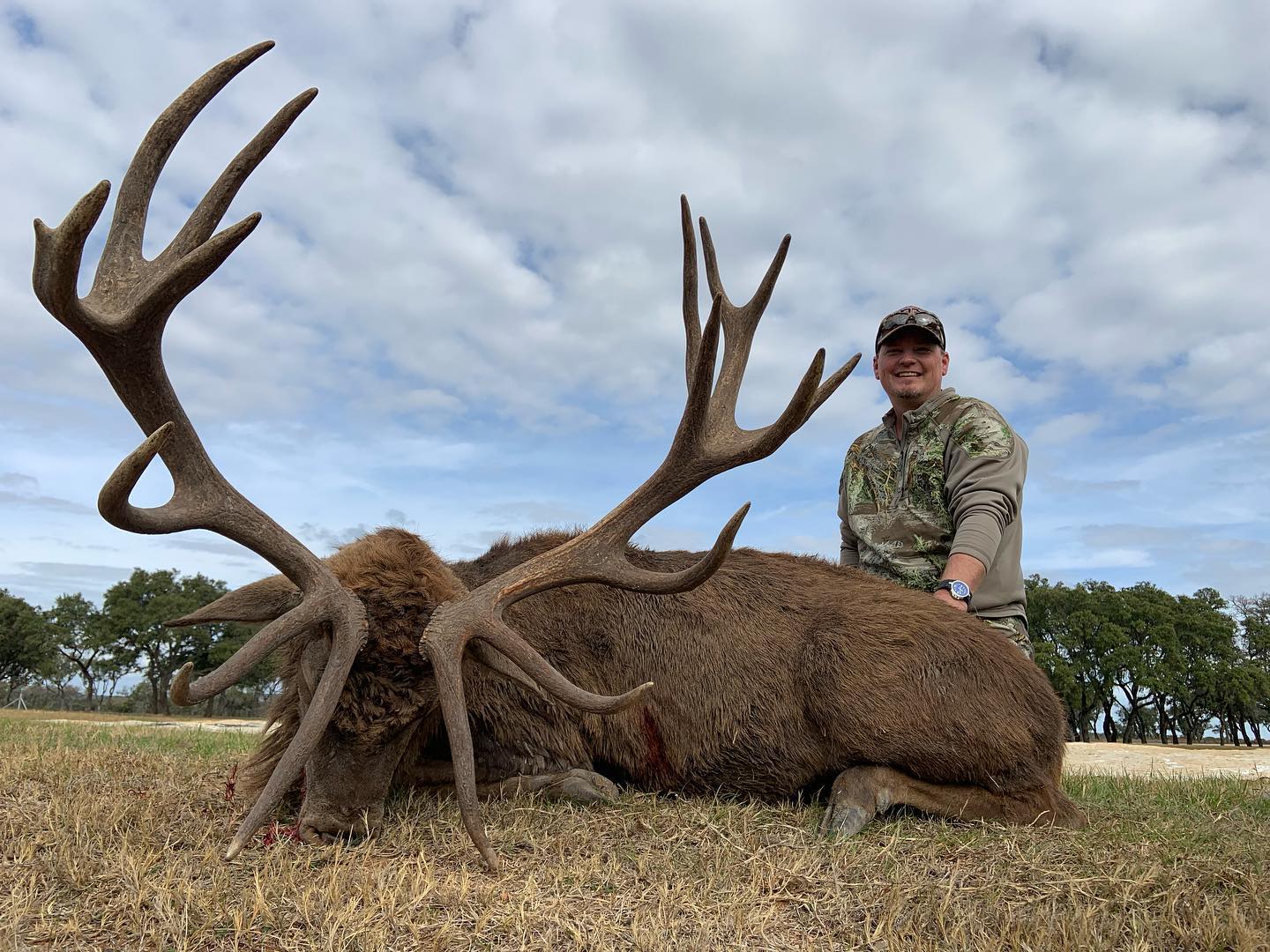 Red Stag - Pope Brothers Guide Service - Hunts in Texas